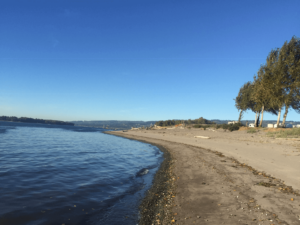 Photo Gallery | RV Camping | Columbia River Front RV Park